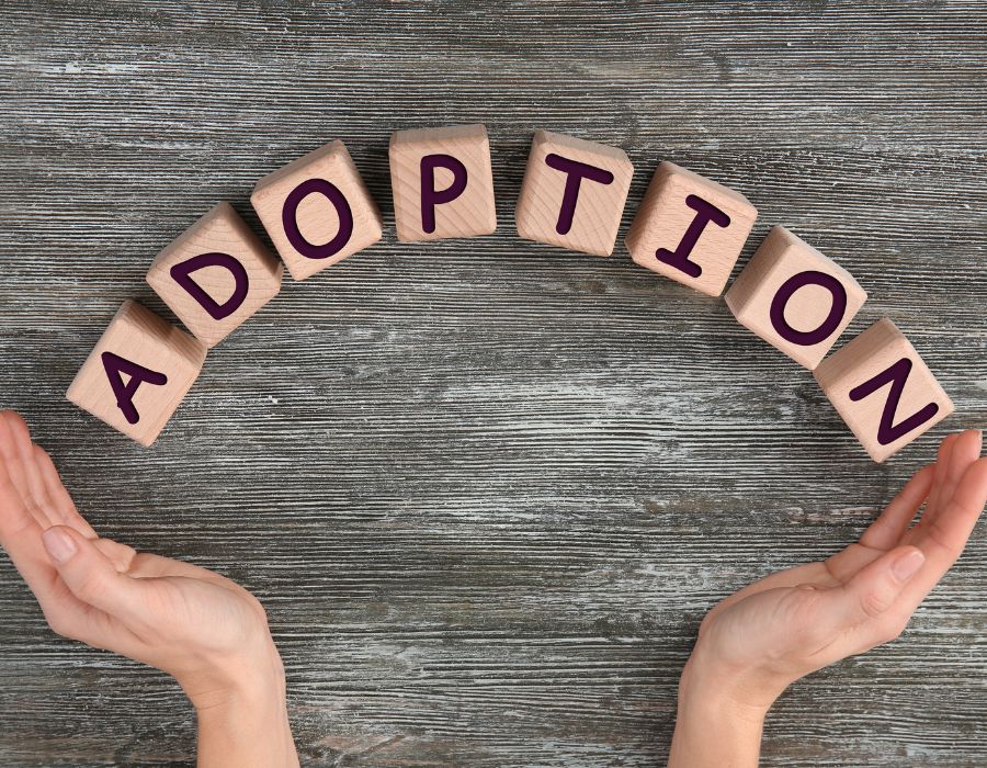How Can I Speed Up the Adoption Process? - Essex Law Firm